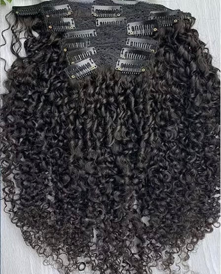 Luxury Virgin Human Hair Wigs - 4x4 & 13x4 Options – SLAYICS